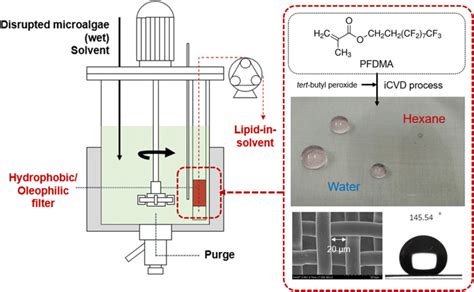 A Schematic Illustration Of Wet Lipid Extraction From Microalgae And In Download Scientific