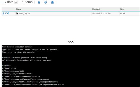 Dart Flutter Timezone Package Does Not Work On Flutter Web When Built For Release Works