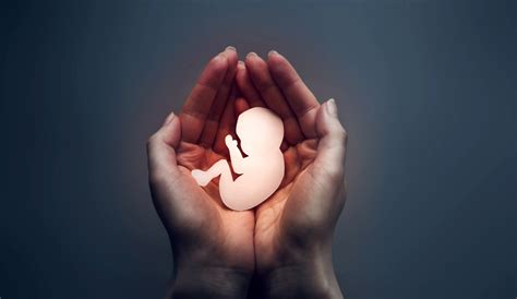 El Aborto Un Drama Que Aumenta En España Desde Su Despenalización En