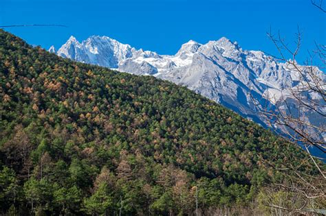블루 문 밸리의 아름다운 랜드 마크와 리장 올드 타운 근처 옥 드래곤 스노우 마운틴 경치 지역 내부 관광 명소에 대한 인기있는 장소 리장 윈난 중국 0명에 대한 스톡 사진