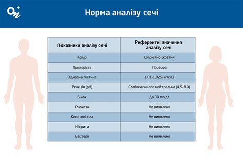 Що показує аналіз сечі та як його розшифрувати — блог медичного центру ОН Клінік