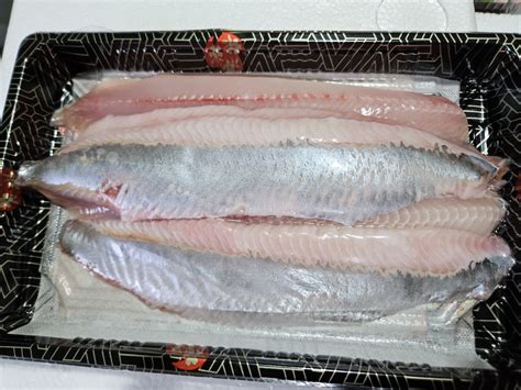 당일바리 포항 청어 필렛 생물 활 청어 필렛 작업 포항에서 잡힌 당일바리 녀석입니다 🟩 포항 청어 필렛 300g초장 ️ ₩ 농수산일번지 Band