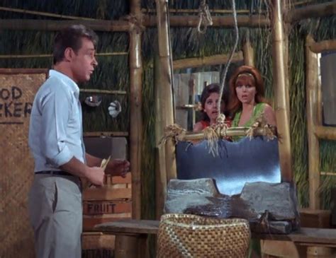 Reviewing Every Tv Show I Own Gilligans Island Not Guilty