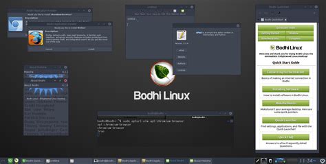 Bodhi Linux 4 1 0 Released With New Moksha Arc Dark Theme Linux
