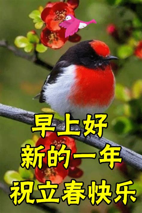 2月4日大年初四立春漂亮的早上好问候图片 立春最美早安问候语图片2月4日 滚动读报 川北在线