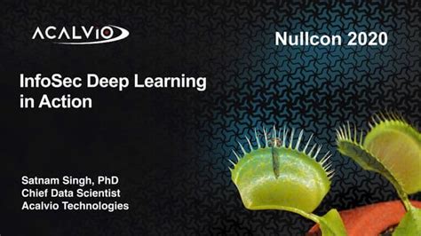 Infosec Deep Learning In Action Ppt