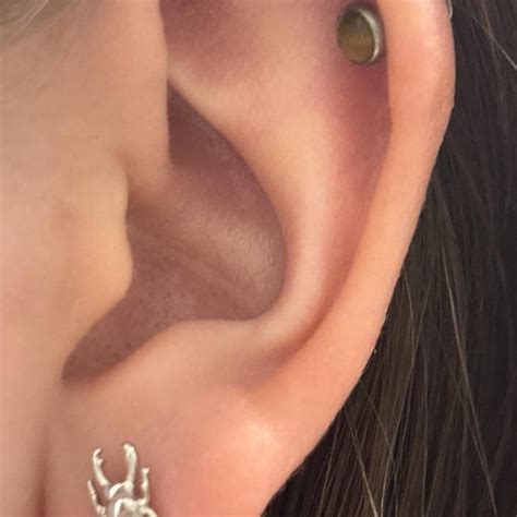 Tiny Stag Beetle Stud Earrings In Sterling Silver Silver Or Gold Or