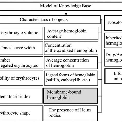 Conceptual Model Of The Dss Expert System For Hemoglobinopathy Download Scientific Diagram