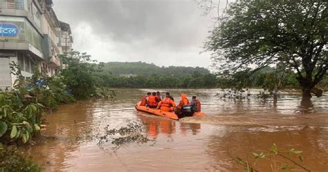 How Do Trees Prevent Flooding