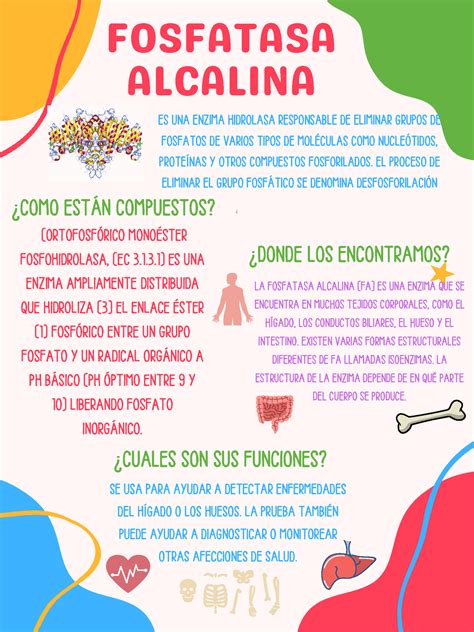 Practica Determinacion De Fosfatasa Alcalina Equipo Fosfatasa