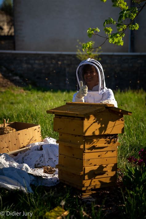 Environnement Mathilde Bouchard Offre Un Toit” Aux Abeilles Mellifères