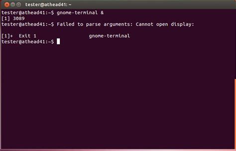 Ubuntu Desktop Package Installed But Can T Launch Gnome Terminal Cannot Open Display