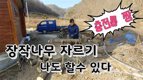 장작나무 자르는 또다른 방법 충전톱이면 남편없어도 나무 자를수 있음 디월트 충전톱 Dcm575x2 사용후기 Youtube
