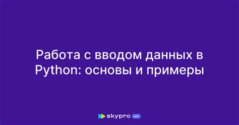Работа с вводом данных в Python основы и примеры