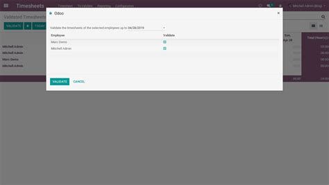 Timesheets In Odoo 12