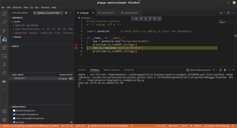 Vs Code And Poetry