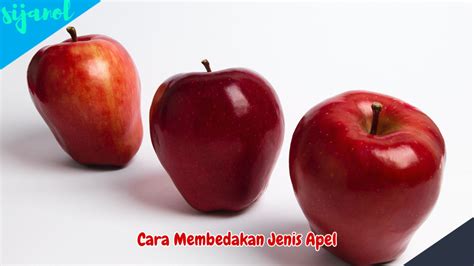 6 Manfaat Buah Apel Untuk Wajah Rahasia Kecantikan Alami Yang Perlu