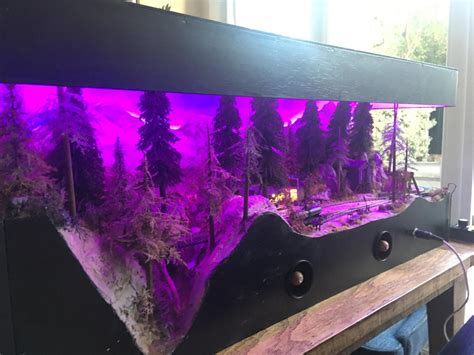 My Sncb Diesel Railcar Going For A Trip R Modeltrains