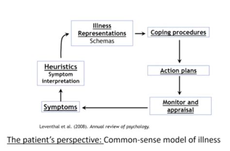 Module 12 Flashcards Quizlet