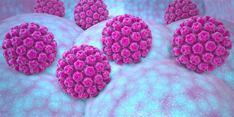 Identification Of Novel Genomic Structures And Regulation Patterns At Hpv Integration Events In