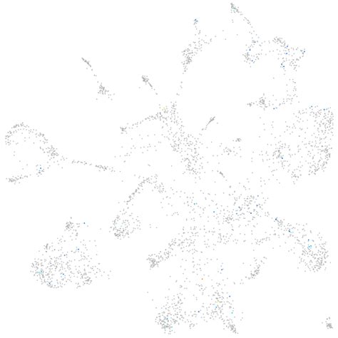 Nphp1 Mural Cells Non Skeletal Muscle Daniocell