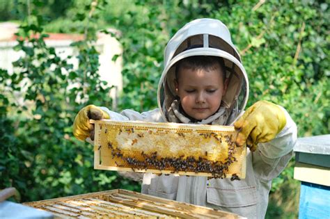 벌집 근처에서 보호복을 입은 명랑한 소년 양봉가 꿀과 벌집 유기농 식품 개념 가장 유용한 유기농 꿀 양봉에 아이들을 유치 아이에 대한 스톡 사진 및 기타 이미지 Istock