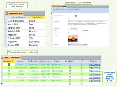 informática y computación itzel montserrat romero martínez Tabla de Access