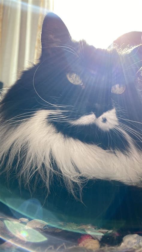 Completed 100daysofcode Challenge Christopher Murphy Posted On The Topic Linkedin