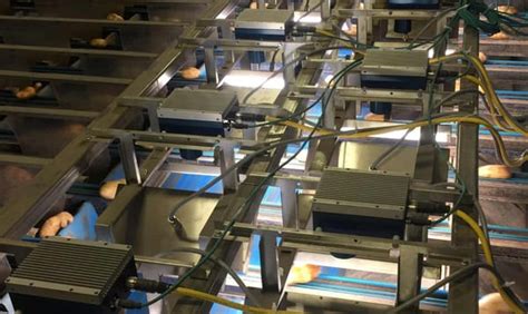 Kpm Analytics Siftai® Multi Lane Potato Sorting Sizing And Grading