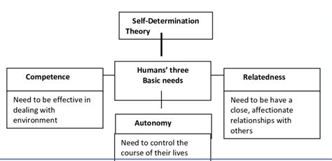Self Determination Theory Download Scientific Diagram