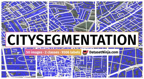 Citysegmentation Dataset Ninja