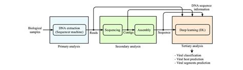 Genome Analysis Stages With Deep Learning Download Scientific Diagram