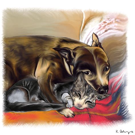 Kim Doherty Hireillo Hire An Illustrator