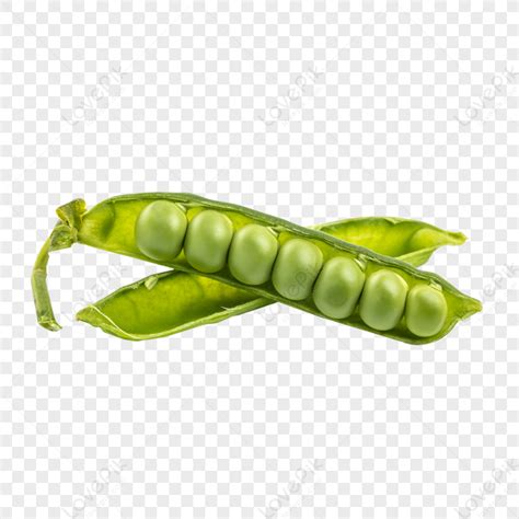 완두콩 Png 일러스트 무료 다운로드 Lovepik
