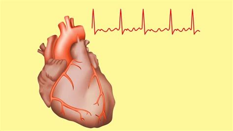 Tom Rifai On Linkedin New Afib Guidelines Confront Underlying Illness