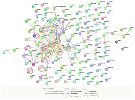 Predicted Functional Partners Of Genes Encoding Hif Subunits Across The