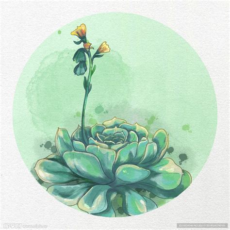 多肉植物 子持莲华设计图自然风光自然景观设计图库昵图网