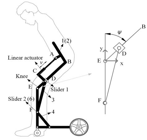Kinematic Model Of Support Configuration Download Scientific Diagram