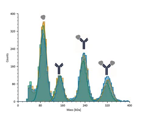 Mass Photometry Antibody Characterization Refeyn