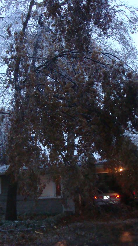 Untitled Molly Flickr