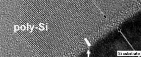 Tem Vs Sem A Detailed Comparison