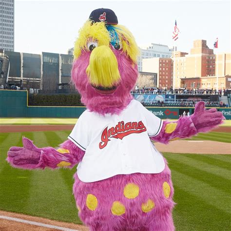 Cleveland Indians Mascot Cleveland Indians Mascot Slider Visits Local