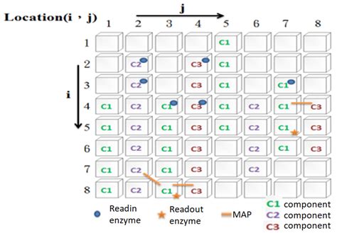 A Simulated Two Dimensional Grid Structure Of An Ip Neuron Download