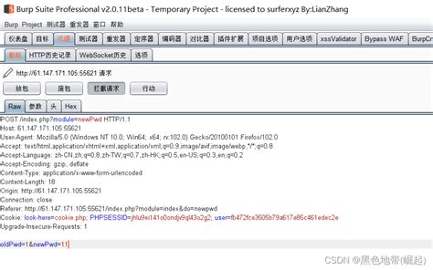 【攻防世界web】难度五星15分进阶题：bug 云社区 华为云