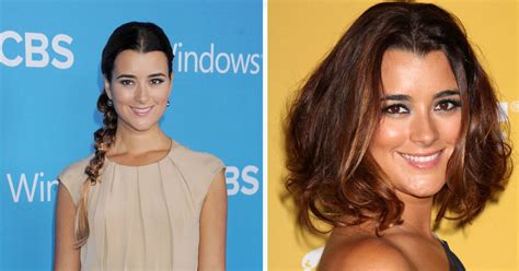 Who Is Cote De Pablo Married To Know About Her Husband