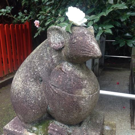 Kyoto Rattie Update Rattie Guardian Of The Temple R Rats