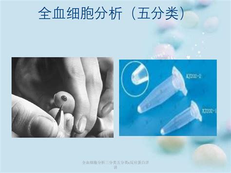 全血细胞分析三分类五分类c反应蛋白详讲word文档在线阅读与下载无忧文档