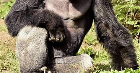 Im Not Saying This Is The Darkest Timeline But Maybe We Should Have Reloaded Album On Imgur