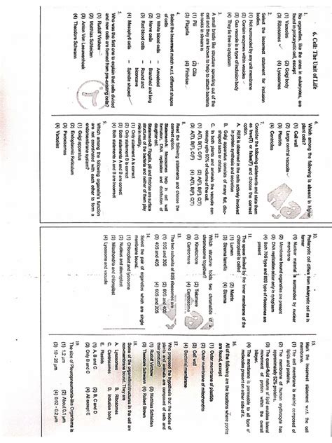Cell The Unit Of Life Assignment 2 Pdf