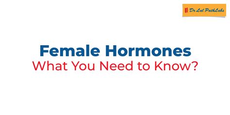 What You Need To Know About Female Reproductive Hormones Dr Lal Pathlabs Blogs